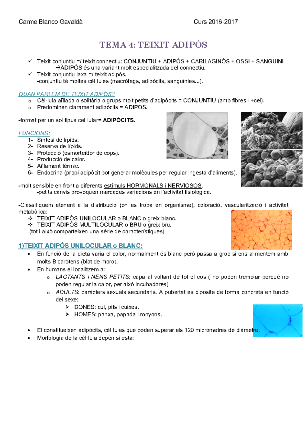 Histologia tema 4 adipós - Carme Blanco Gavaldà Curs 2016-­2017 TEMA 4 ...
