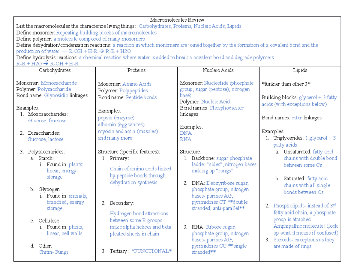 Macromolecules Review - KEY - Macromolecules Review List the ...
