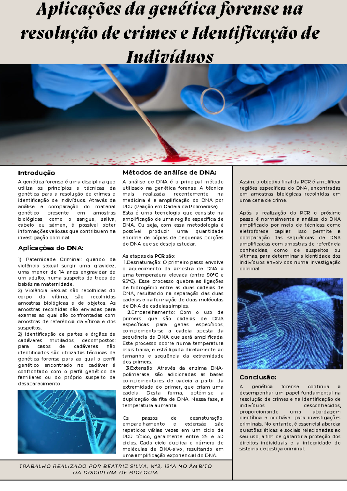 Black and White Photography Sectioned Newsletter Page A4 Design ...