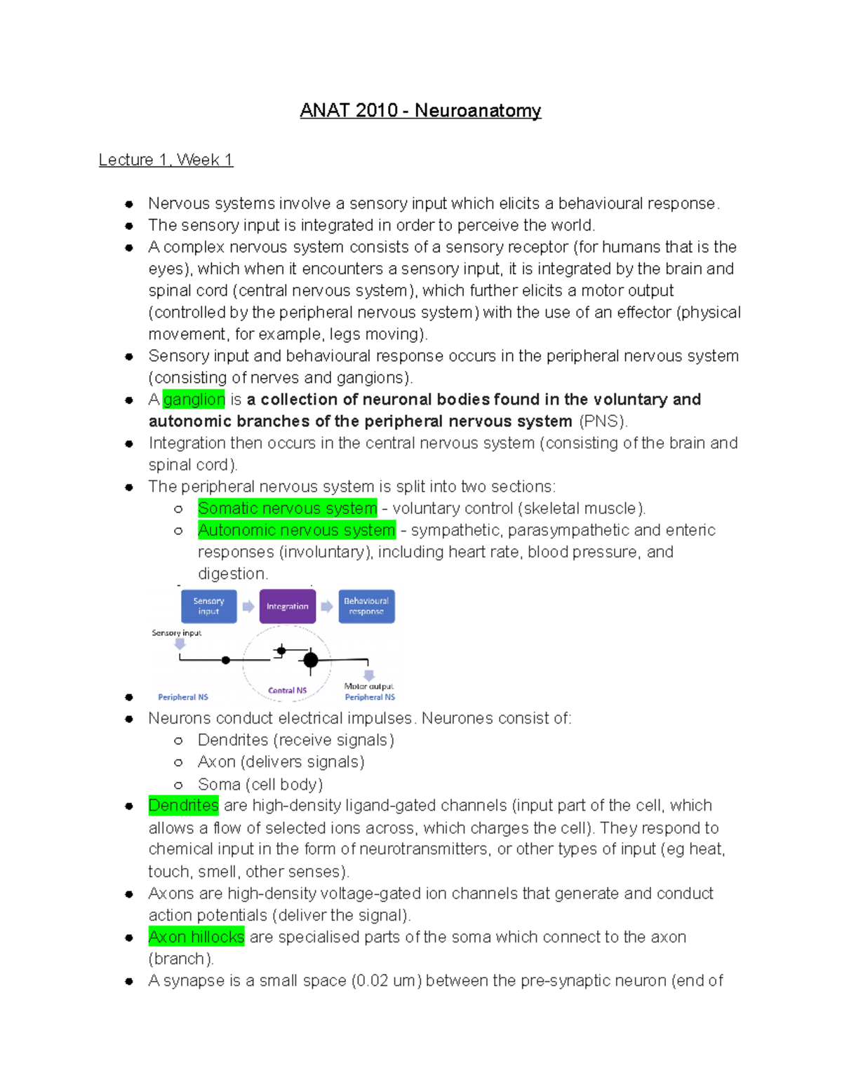 ANAT 2010 - Neuroanatomy - ANAT 2010 - Neuroanatomy Lecture 1, Week 1 ...