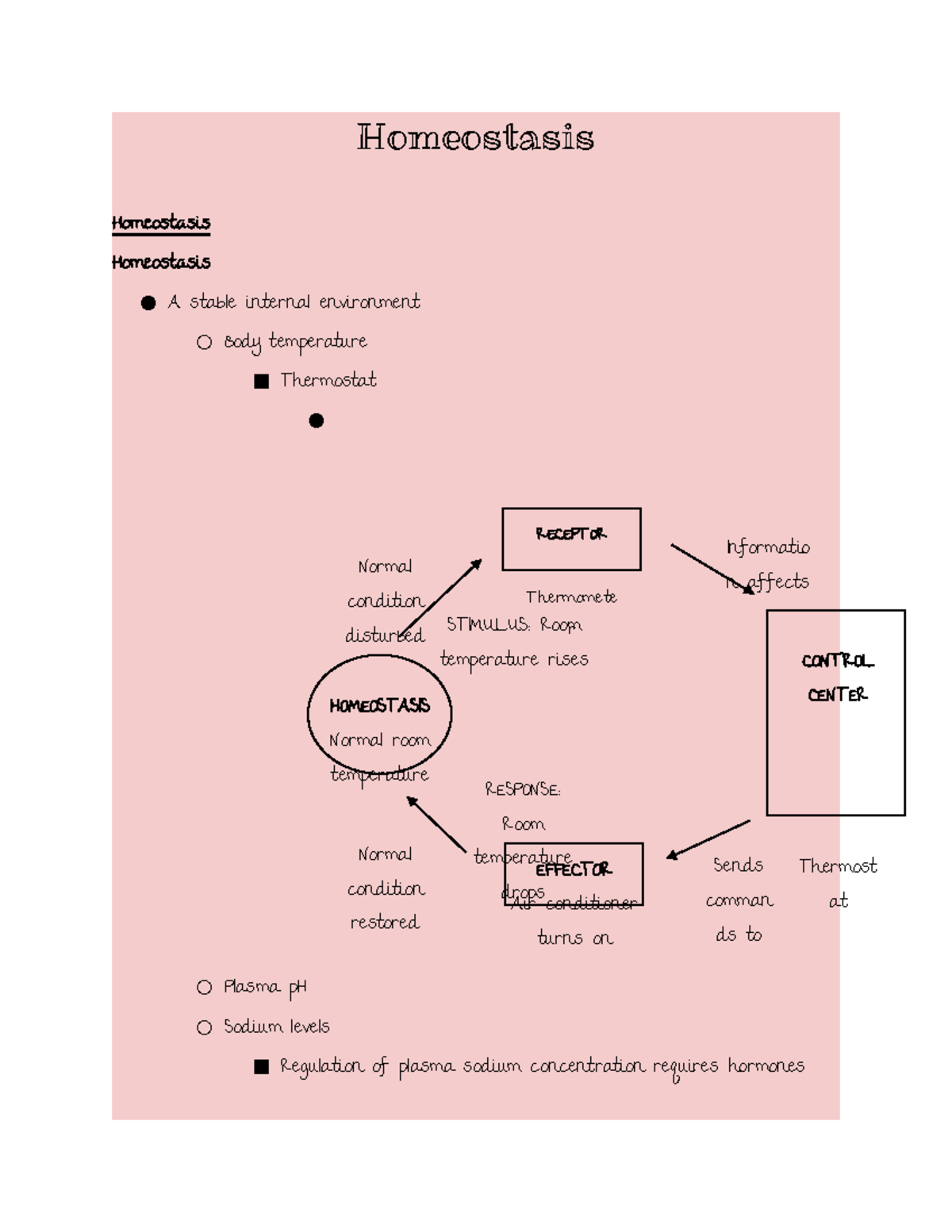 Homeostasis - Lecture Notes - Homeostasis Homeostasis Homeostasis A ...