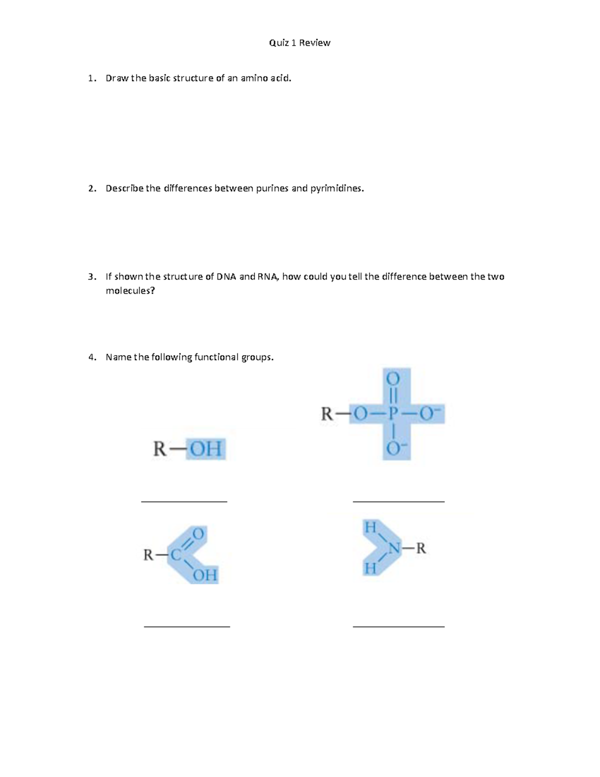Protein and Nucleotide Worksheet - BIO 160 - Quiz 1 Review Draw the ...