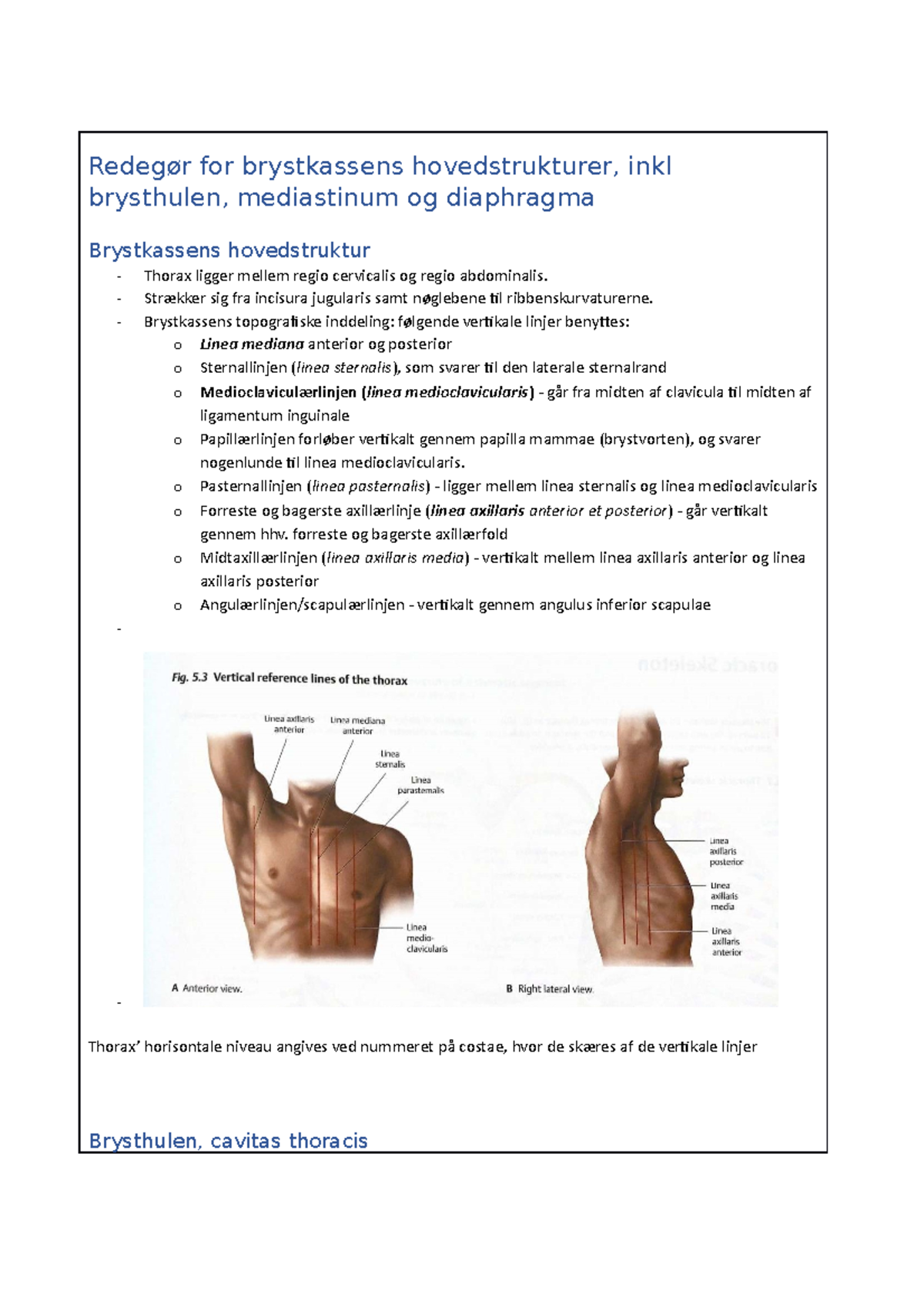 1.3 - uge 1 - øvre respirationsveje - Redegør for brystkassens ...