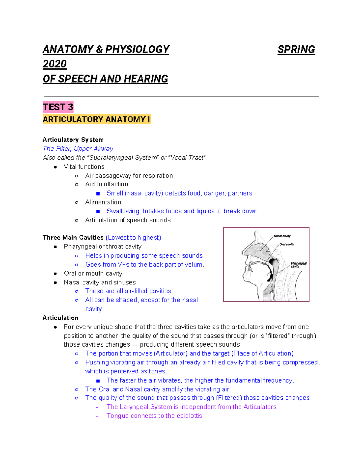Anatomy Test 3 - Articulation - ANATOMY & PHYSIOLOGY SPRING 2020 OF ...
