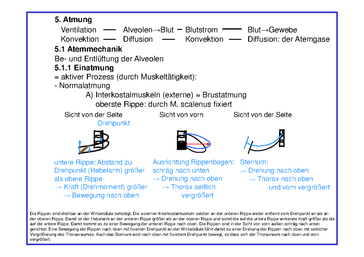1 Atemmechanik 2016 Skript 2 - 5 Einatmung = aktiver Prozess (durch ...