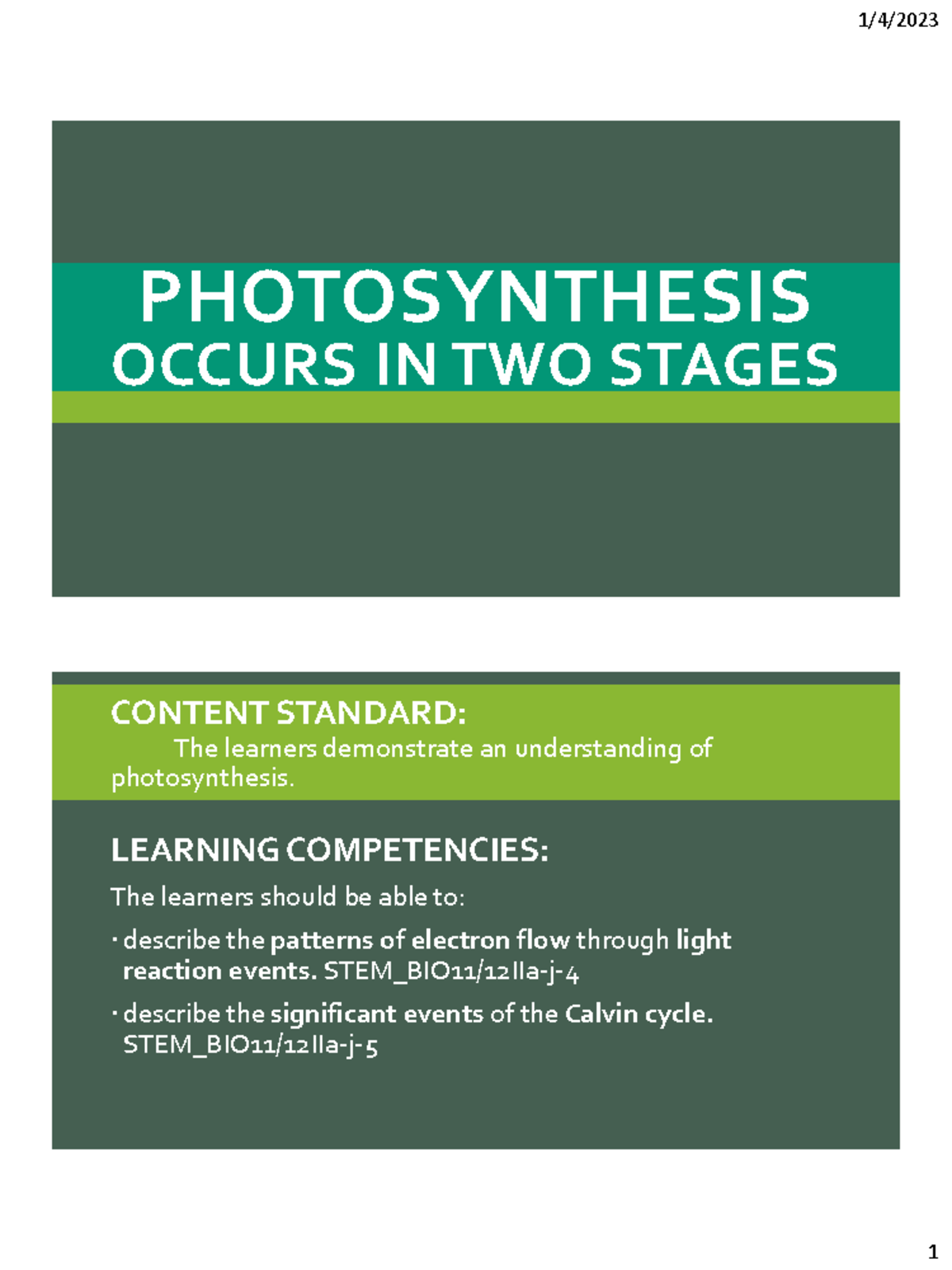 Lesson-6-Photosynthesis - PHOTOSYNTHESIS OCCURS IN TWO STAGES CONTENT ...
