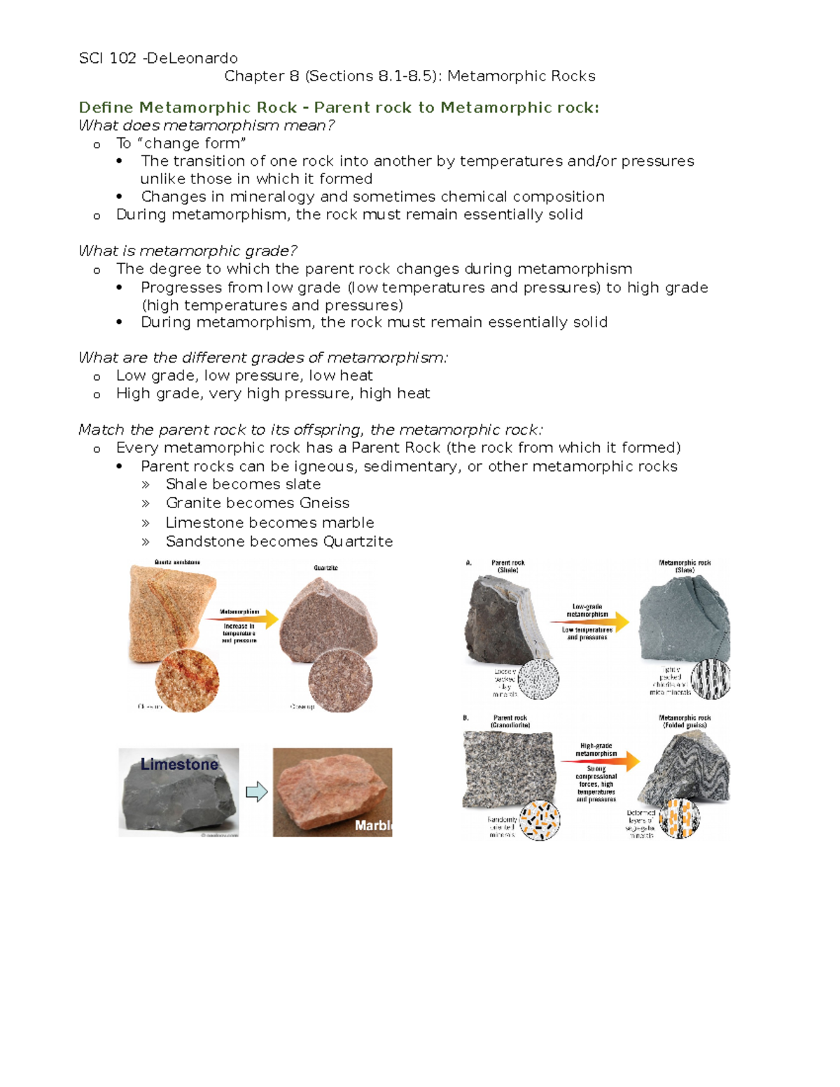 SCI 102 - Chapter Eight Outline - Metamorphic Rocks - Chapter 8 ...