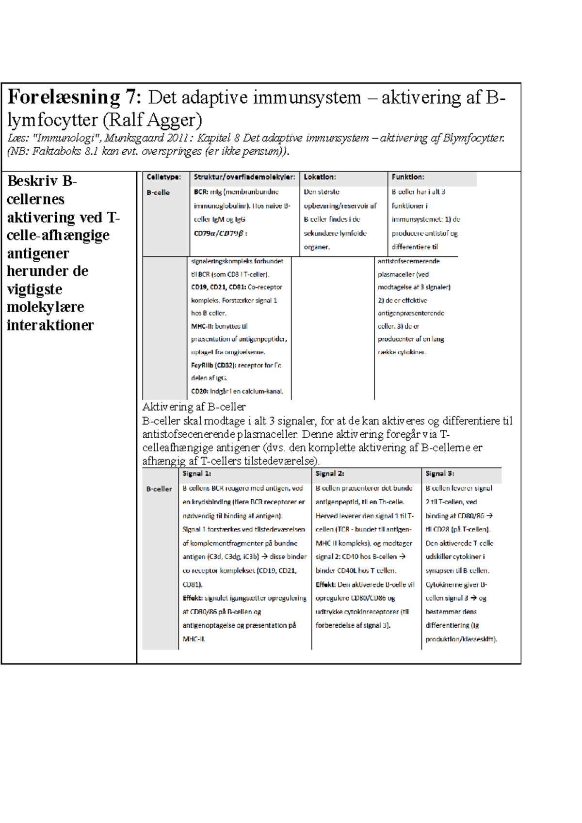Immunologi Forelæsning 7 - Forelæsning 7: Det adaptive immunsystem ...