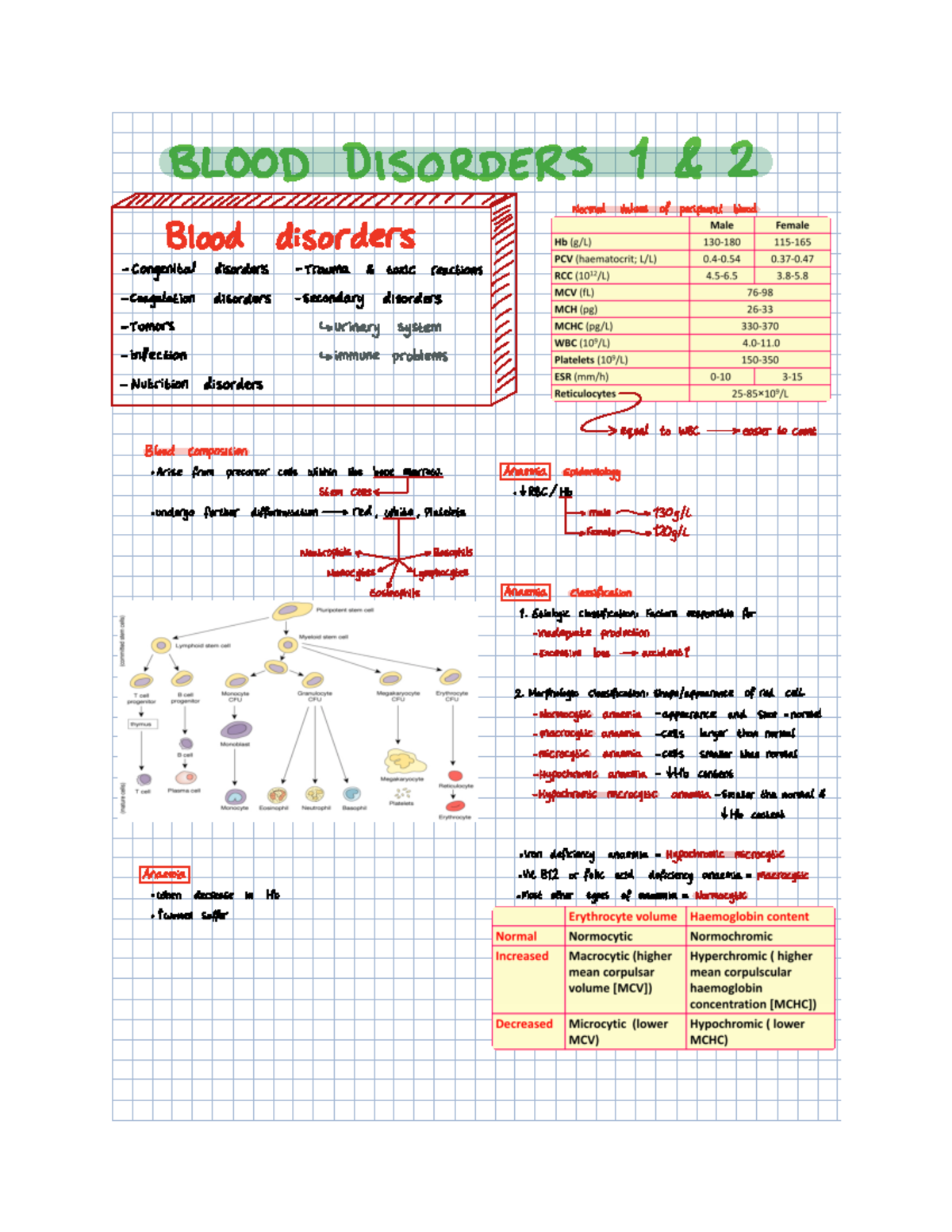 Blood disorders 1 & 2 - lecture notes - BLOOD DISORDERS 1 2 ...