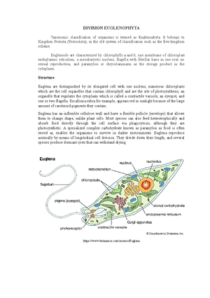 1 - Botany - Classification of Plants - DIVISION SCHIZOPHYTA A group of ...
