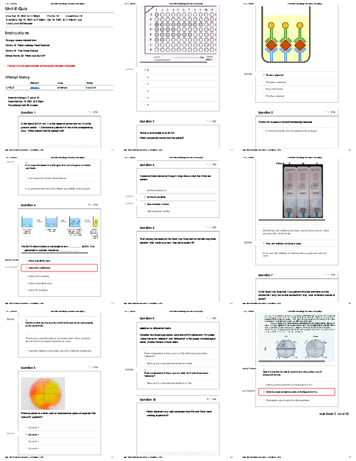 Unit 6 Quiz Microbiology and Human Health Spring 21 - instructure ...