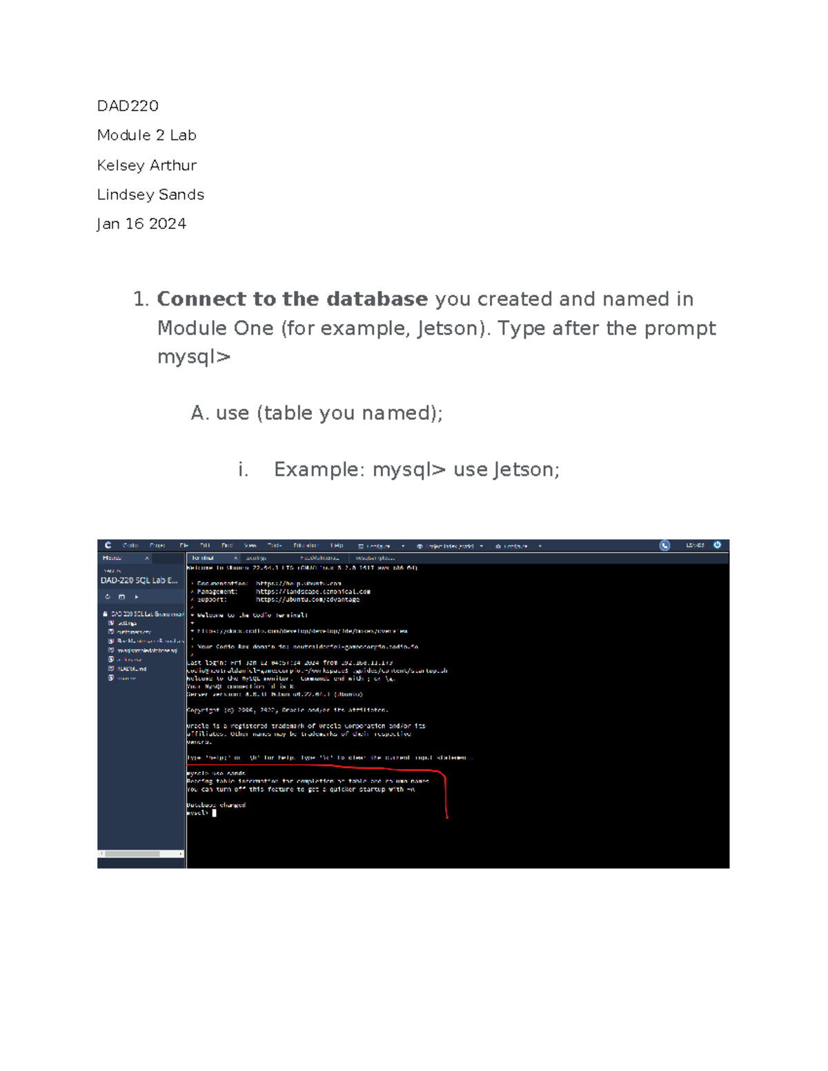 Module 2 Lab - DAD Module 2 Lab Kelsey Arthur Lindsey Sands Jan 16 2024 1. Connect to the ...