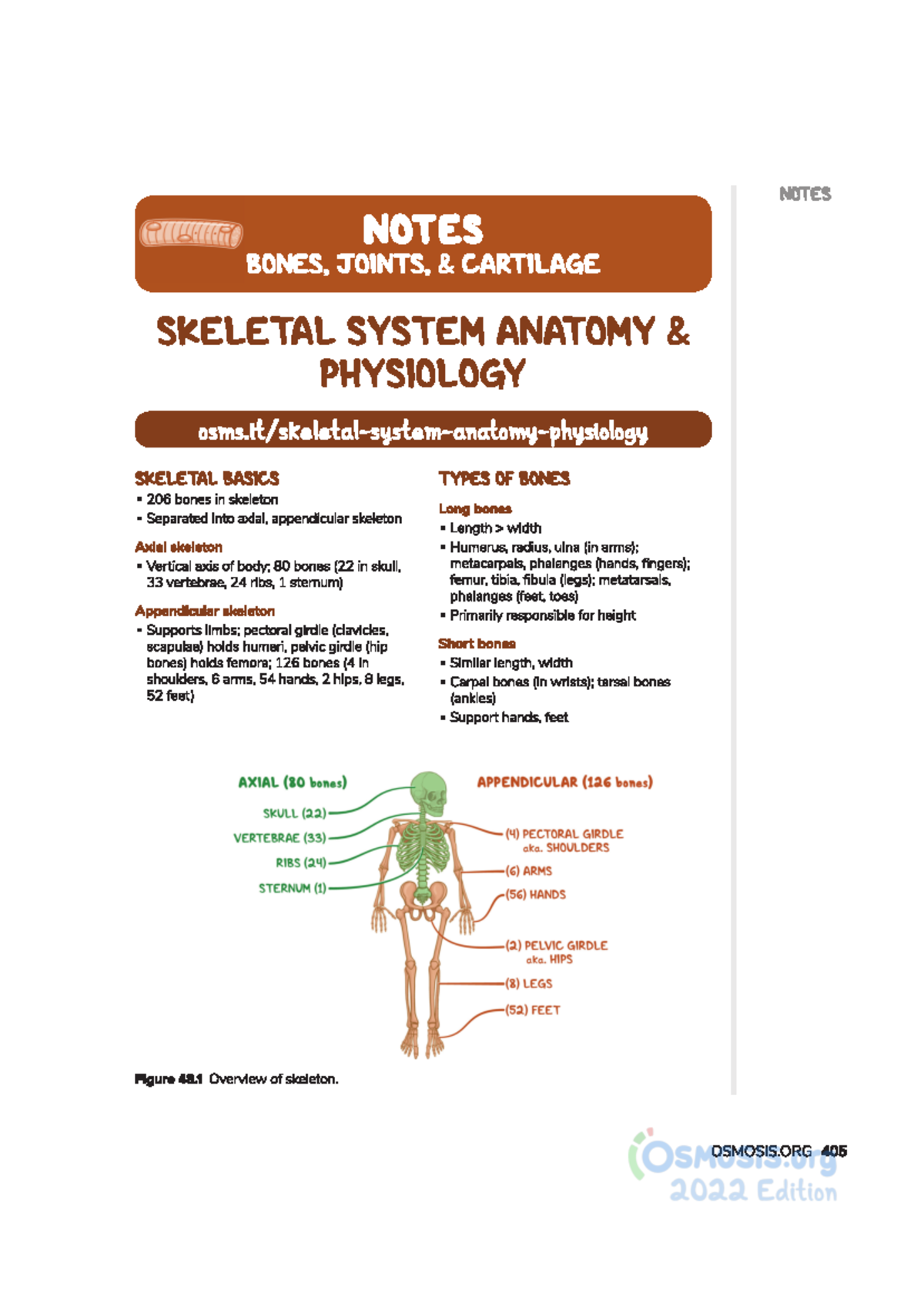 Musculoskeletal System - NOTES NOTES BONES, JOINTS, CARTILAGE SKELETAL ...