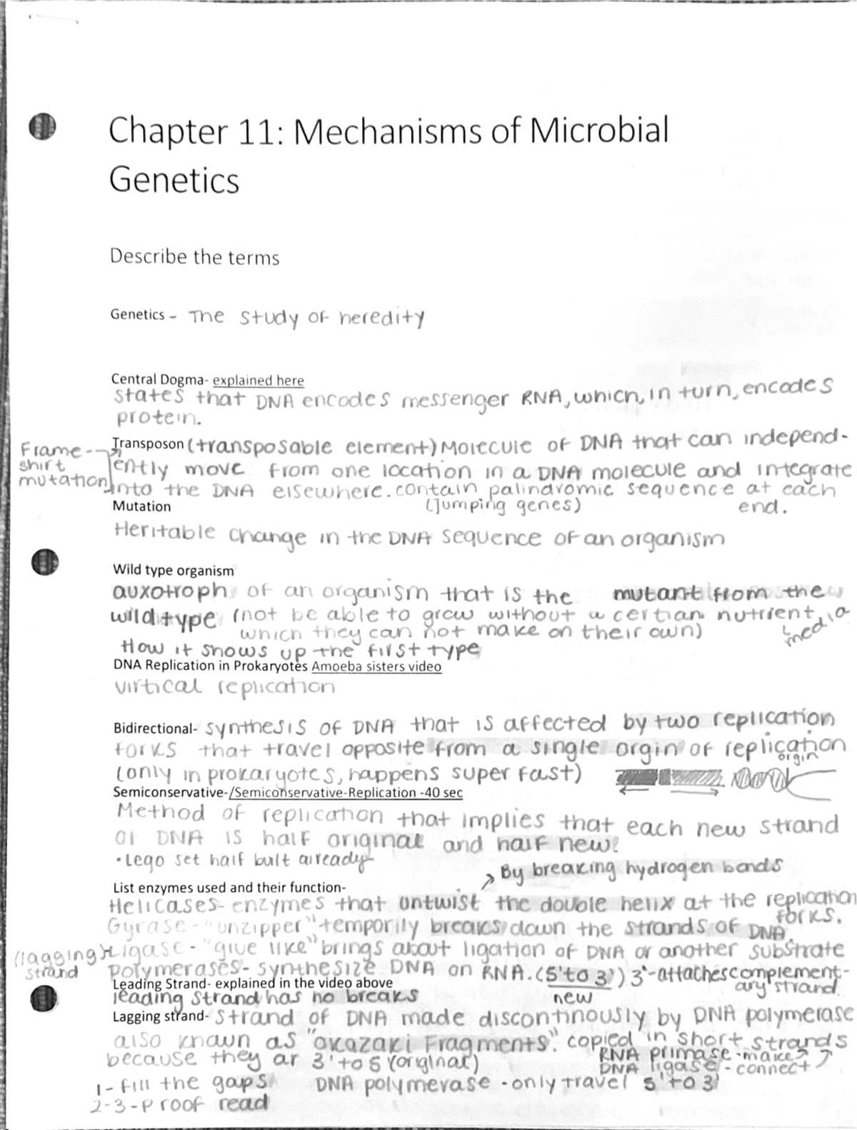 Micro Chapter 11 - BIOL 2117 - Studocu