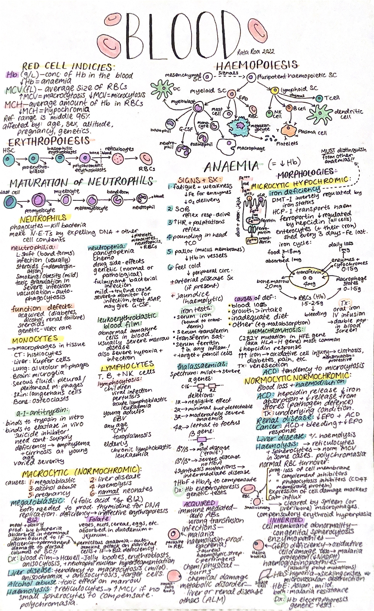 Blood Summary notes - Medicine and Surgery - Studocu
