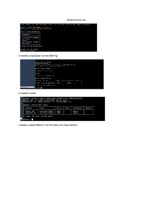 Chapter Three Database Design - 3 Primary keys Primary keys A primary ...