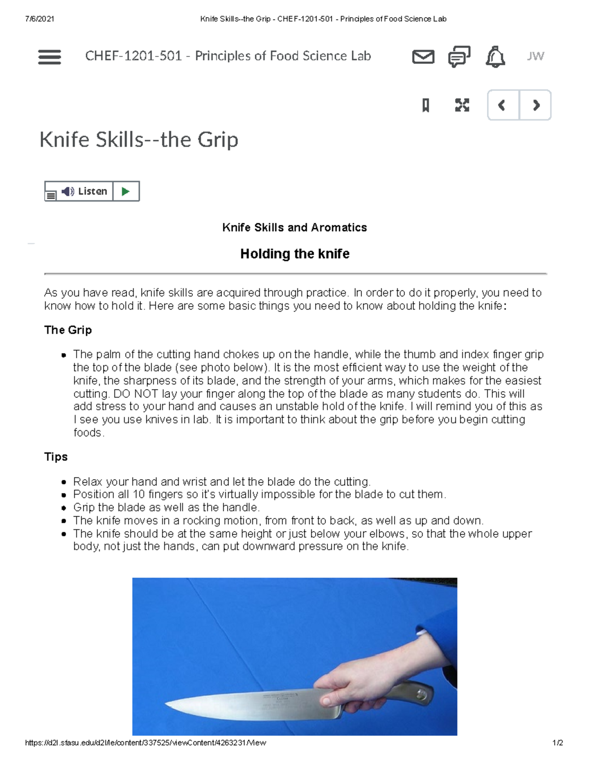 Knife Skills-the Grip - CHEF-1201-501 - Principles of Food Science Lab ...