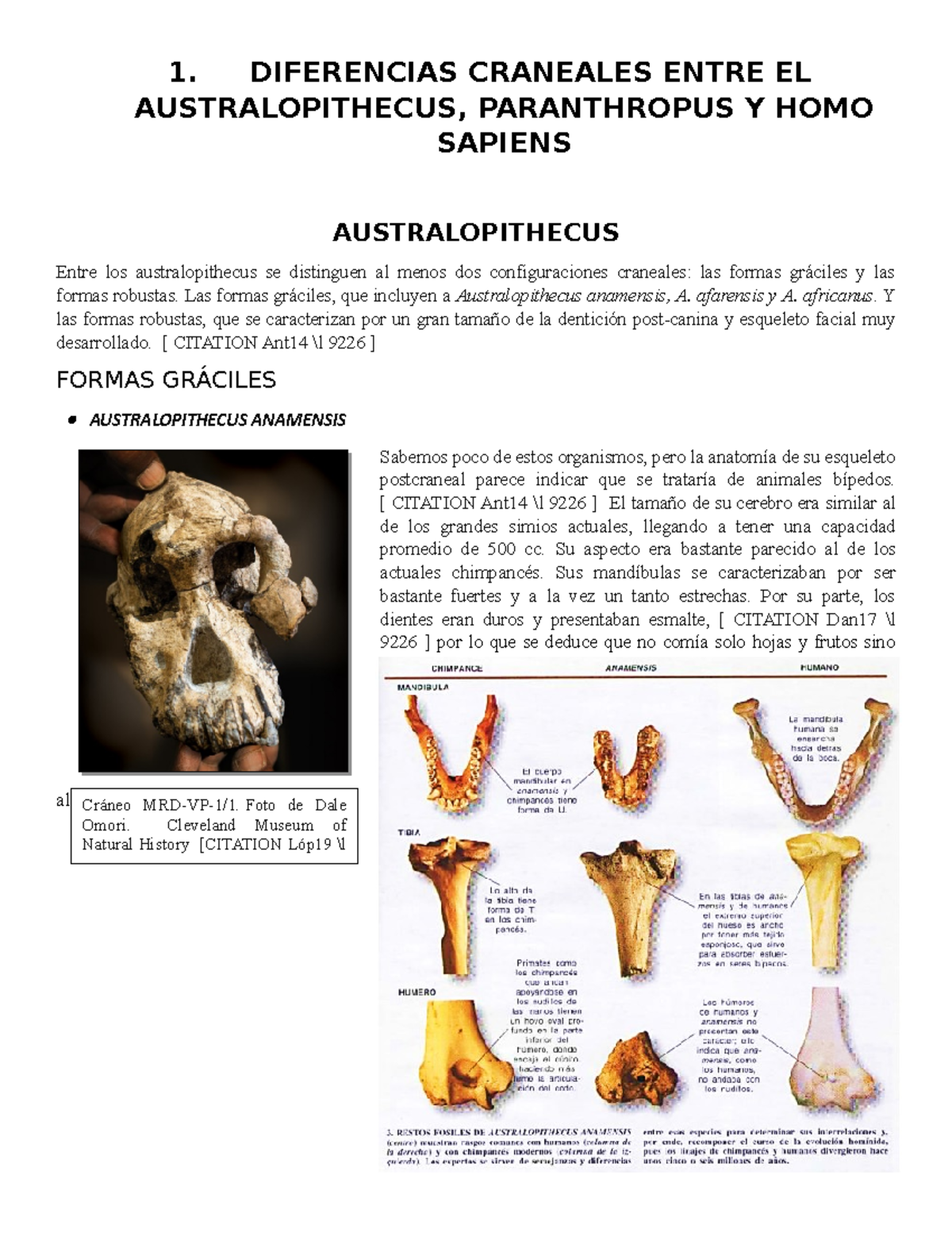 Resuelto - Antropología - 1. DIFERENCIAS CRANEALES ENTRE EL ...
