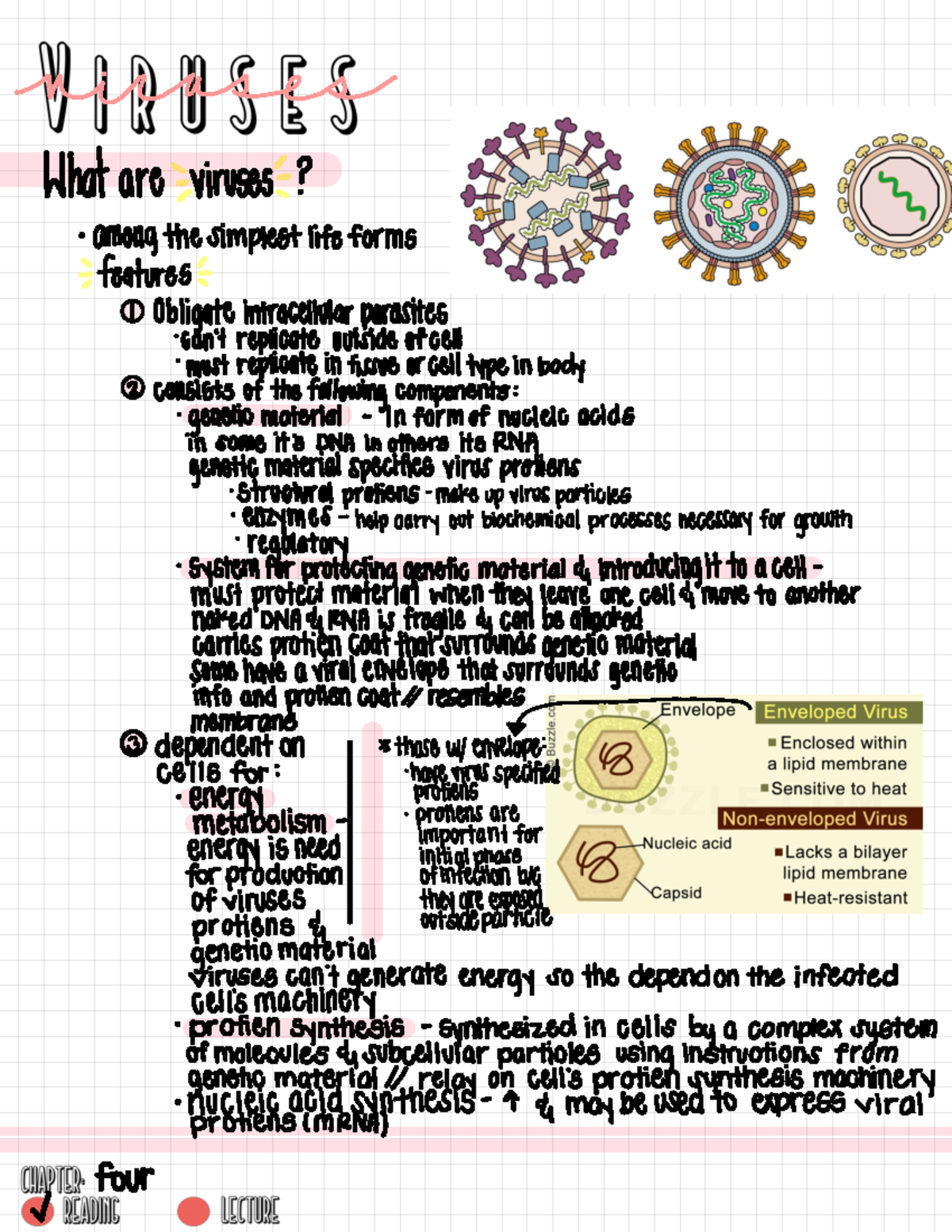 BIO 45 - Lecture notes Virus Chapter - minuses whatare.viruse? . among ...