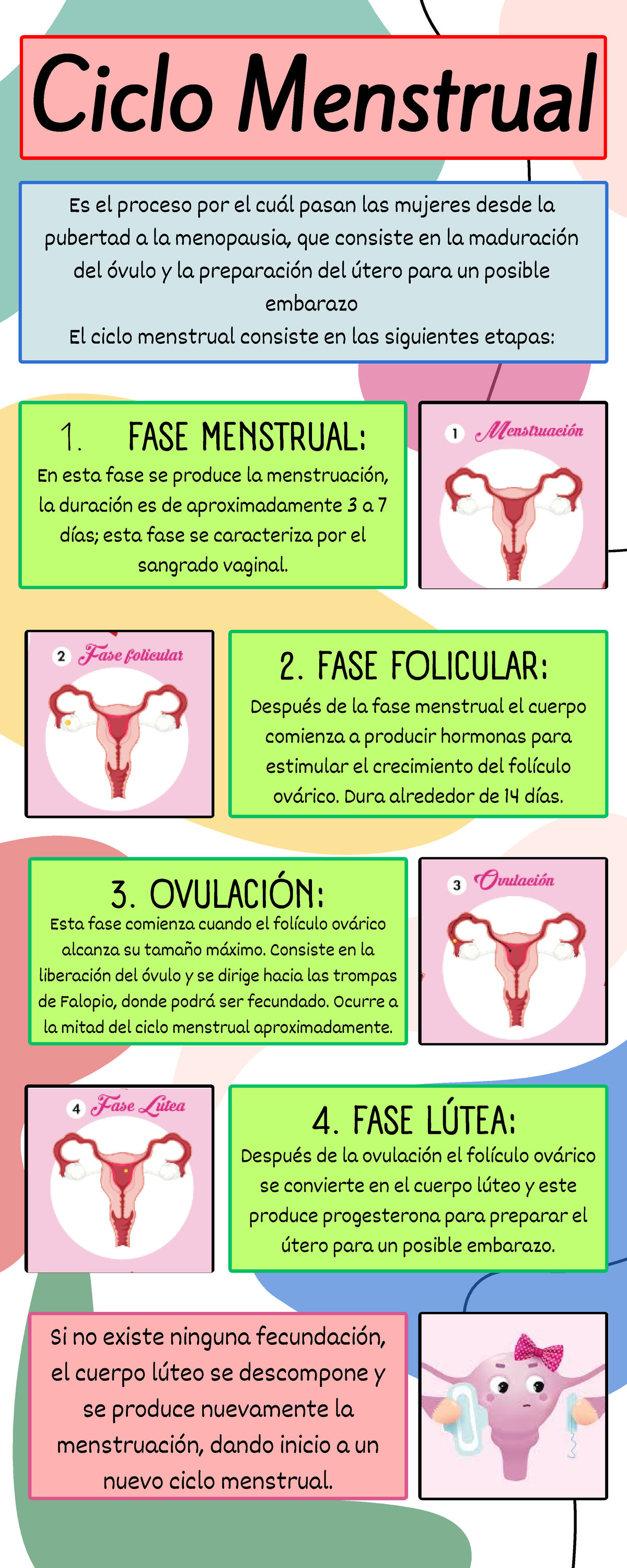 Ciclo Menstrual Biología - Ciclo MenstrualCiclo Menstrual 1. FASE ...