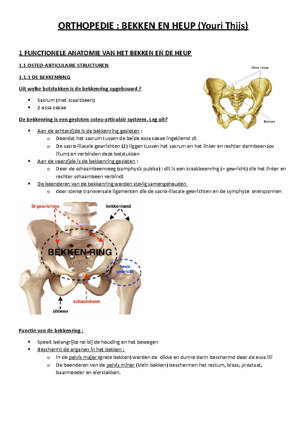 Orthopedie HEUP EN Bekkendocx - ORTHOPEDIE : BEKKEN EN HEUP (Youri ...