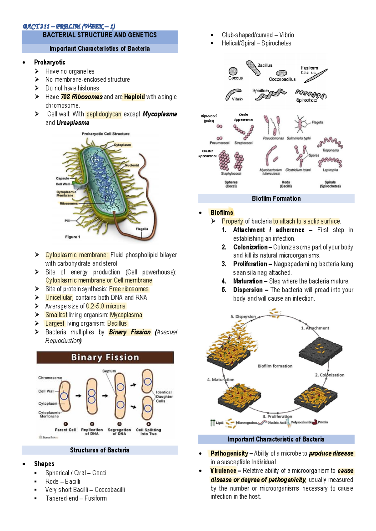 BACT 211 (MOD 1.2) - Bacterial Structure and Genetics - BACTERIAL STRUCTURE AND GENETICS ...