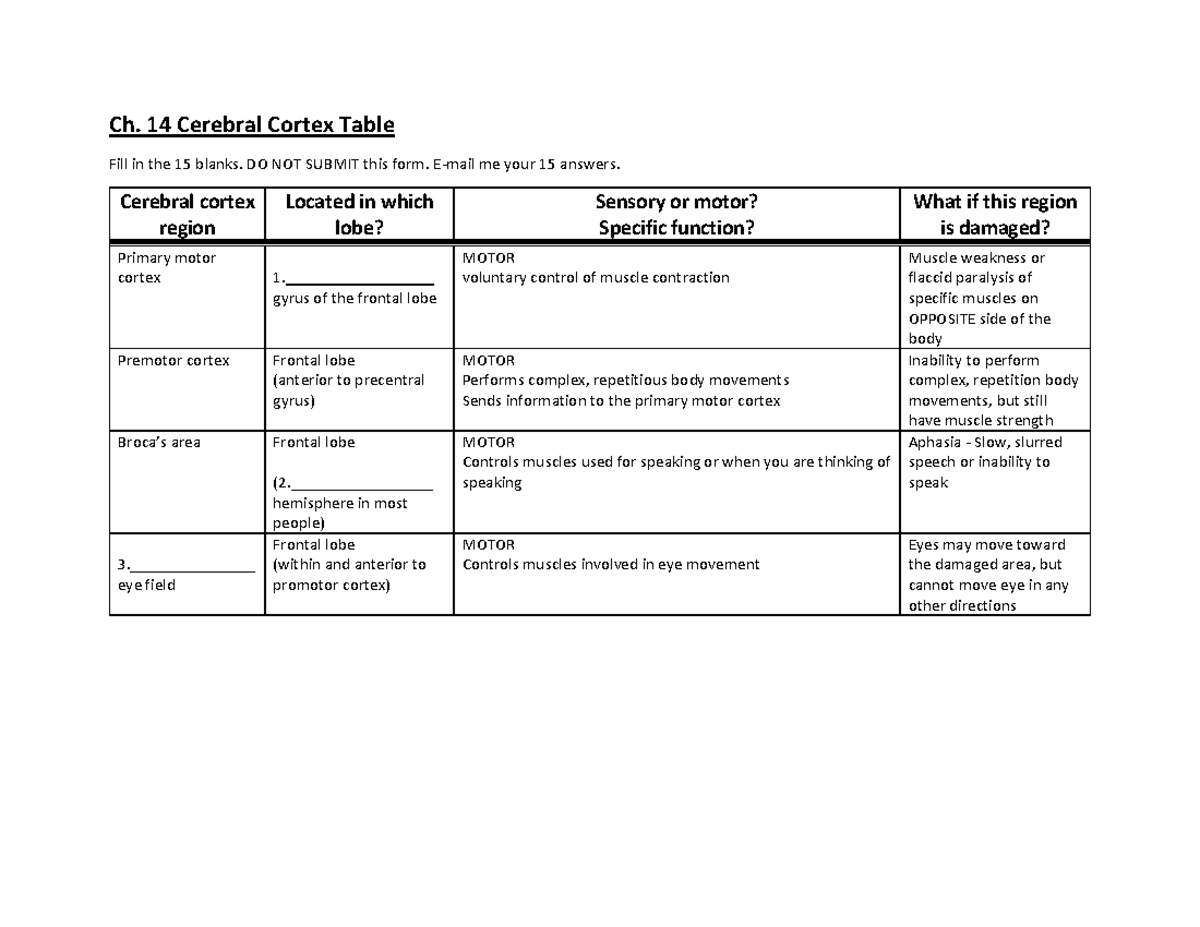 Ch.14 Brain Table Assignment - Ch. 14 Cerebral Cortex Table Fill in the ...