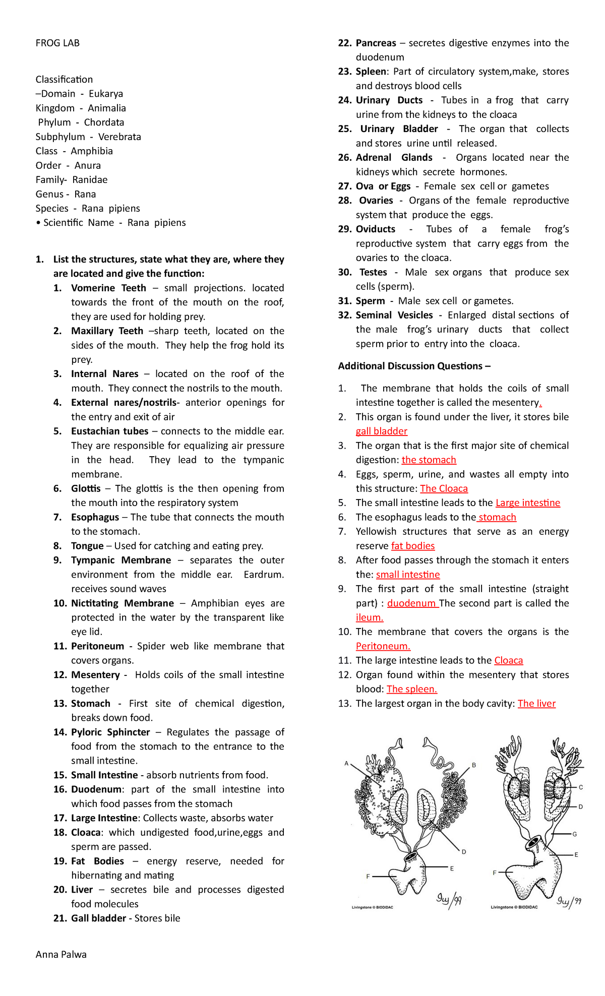 Frog Parts And Functions FROG LAB Classification Domain Eukarya