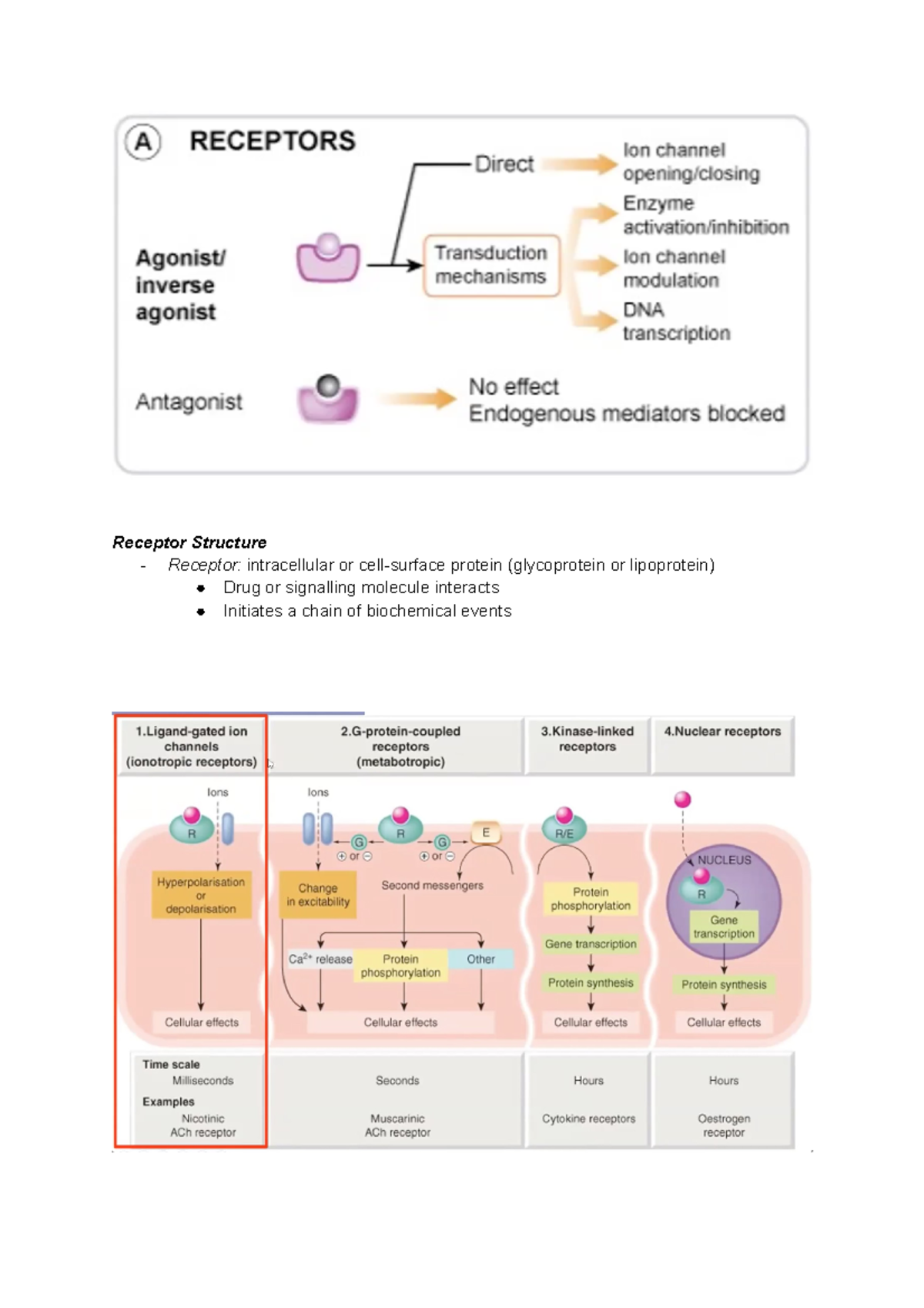 MOD 7. Drug Targets Receptors - Receptor Structure - Receptor ...
