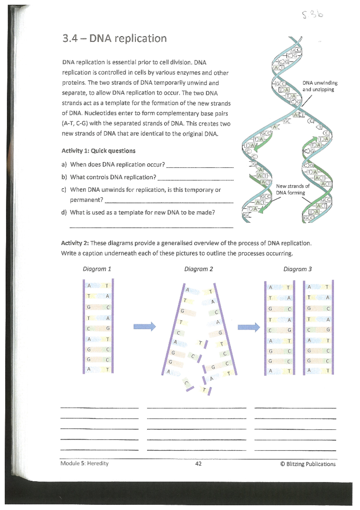 Cell replication BB booklet - 5 3 DNA replication GC DNA replication is ...