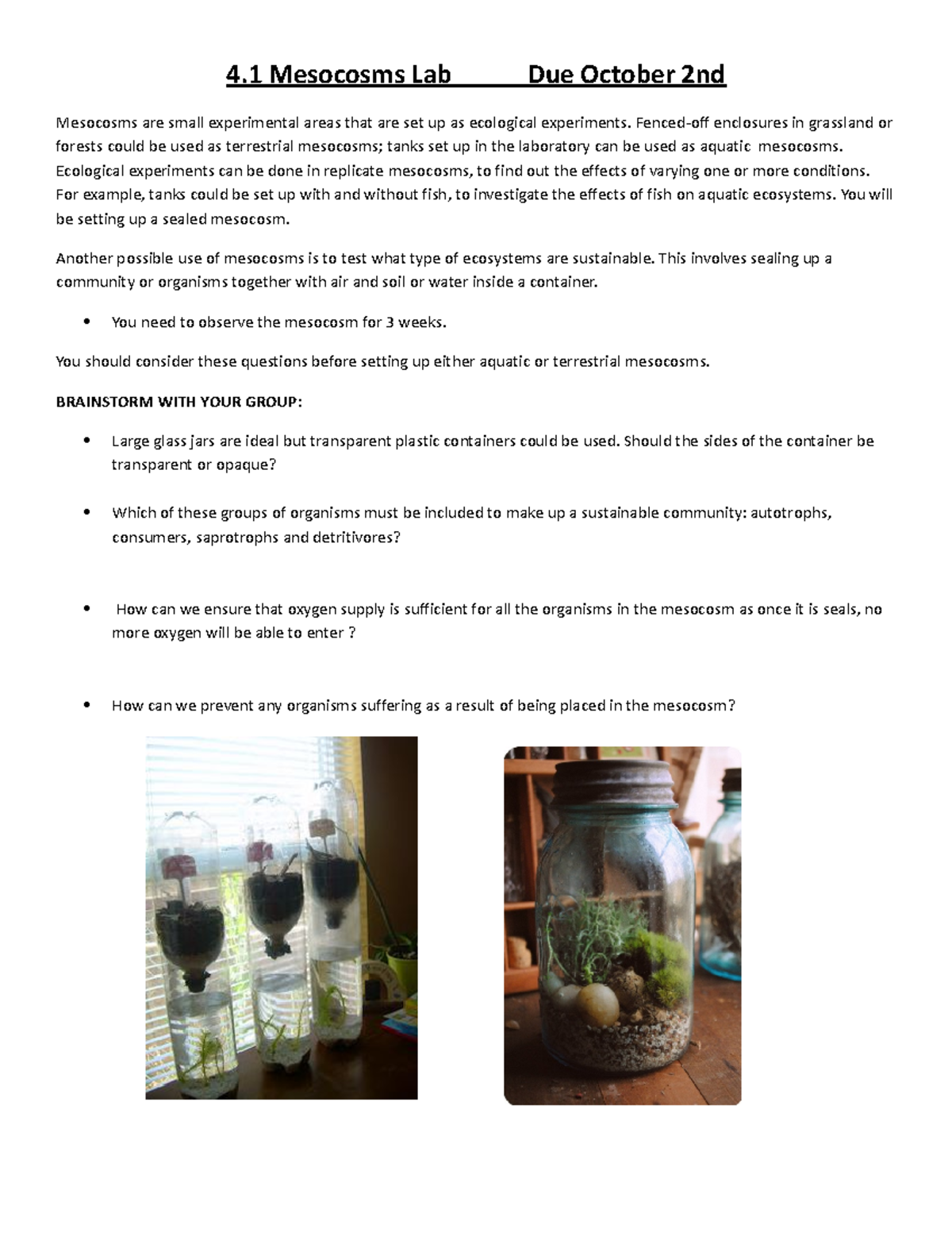 Mesocosm Lab 4 - rnmfv 2 - 4 Mesocosms Lab Due October 2nd Mesocosms ...