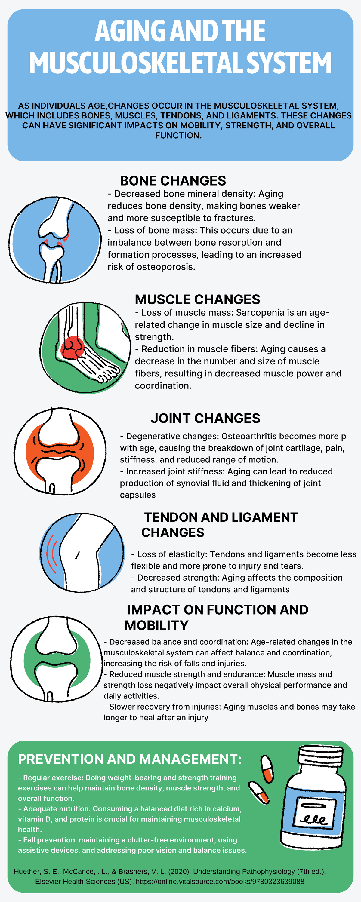 Blue and Green Illustrated Bone Health Infographic - AGING AND THE ...