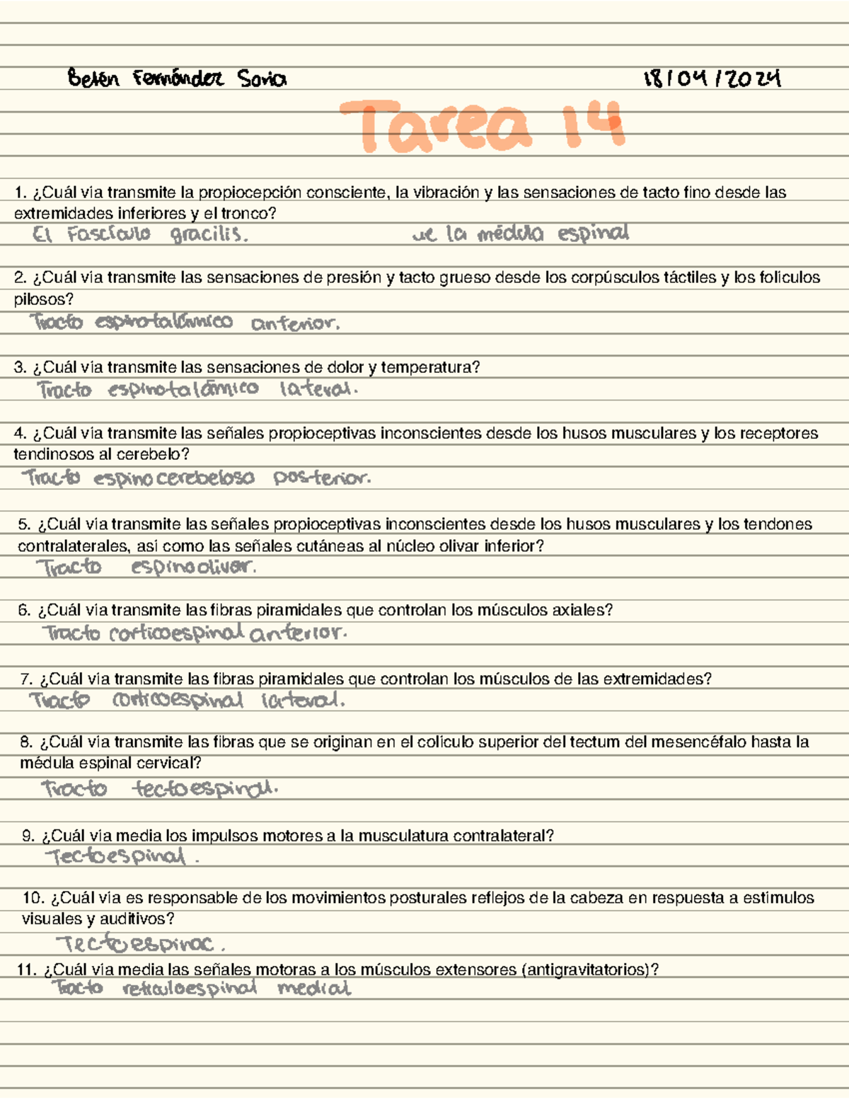 Tarea 14 Nervioso - ¿Cuál vía transmite la propiocepción consciente, la vibración y las ...