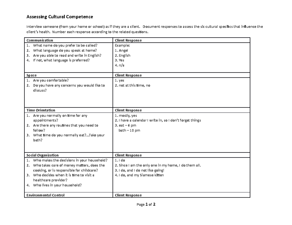 Culture Discussion Activity - Assessing Cultural Competence Interview ...
