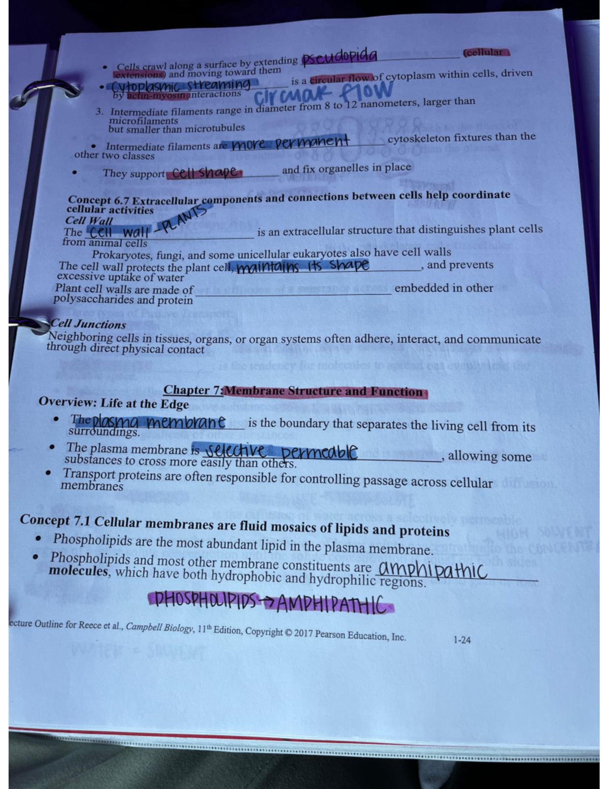 23 - biology lecture notes - BIO1134 - Studocu
