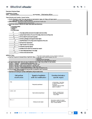 Chapter 4 Review - Handout for Chapter 4 (Tissues) KEY FIGURES IN THIS ...