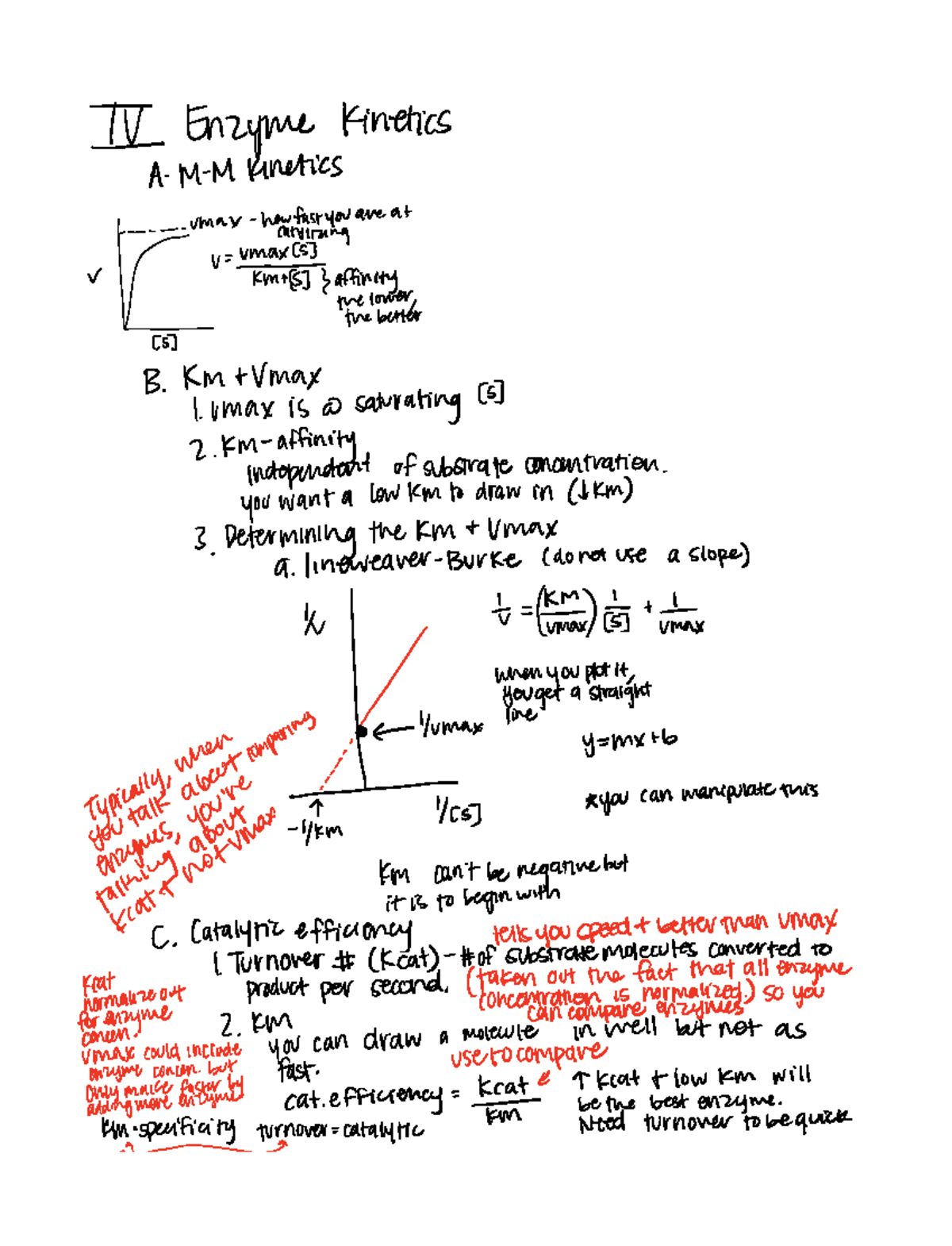 Enzymes Kinetics - VI Enzyme kinetics A M M kinetics ii the better B ...