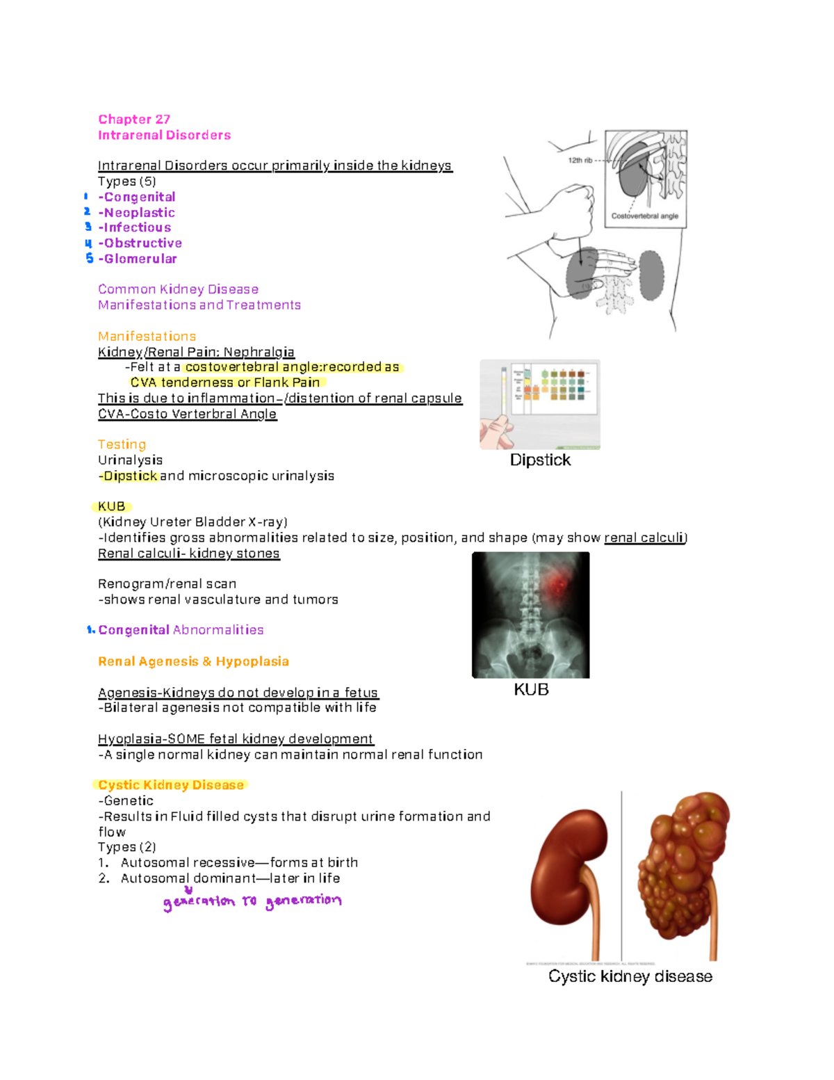 Quiz 5 Study Guide - N/A - Chapter 27 Intrarenal Disorders Intrarenal ...