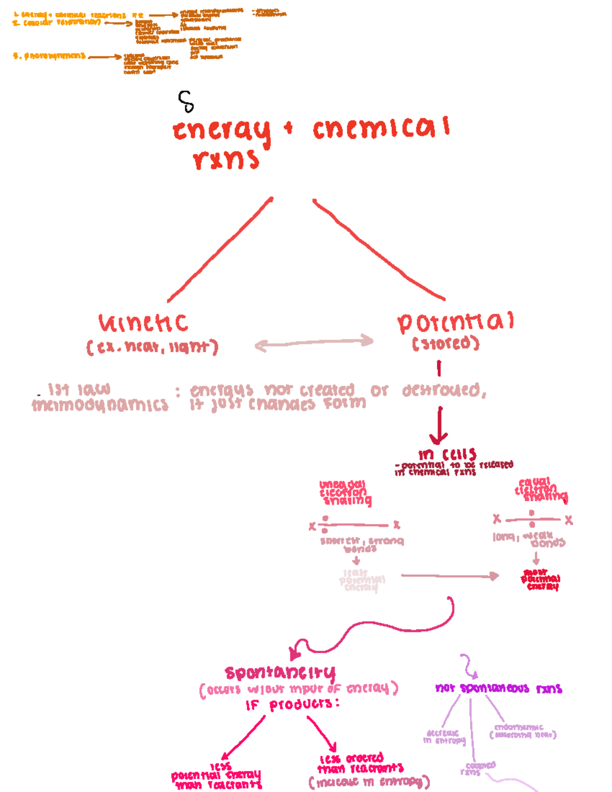 Lecture 1B outline - Covers energy/chemical reactions, cellular ...