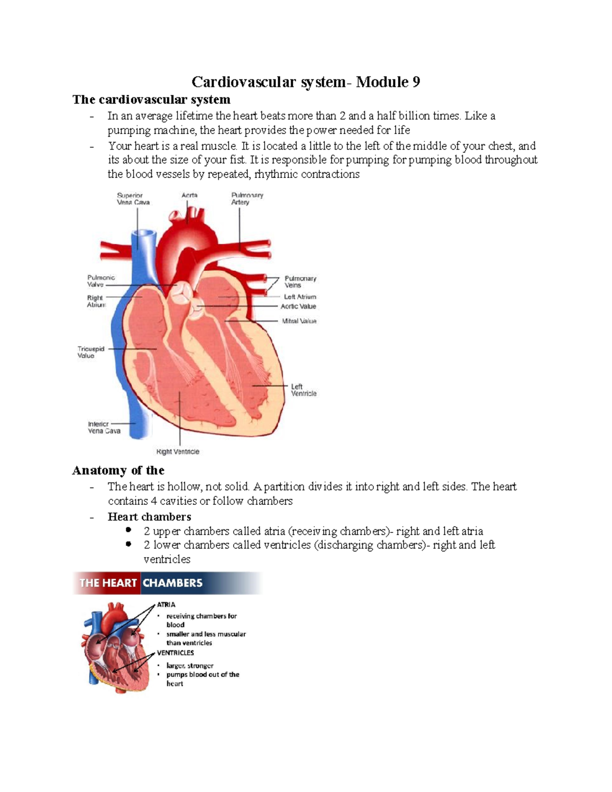 Cardiovascular system- module 10 - Like a pumping machine, the heart ...