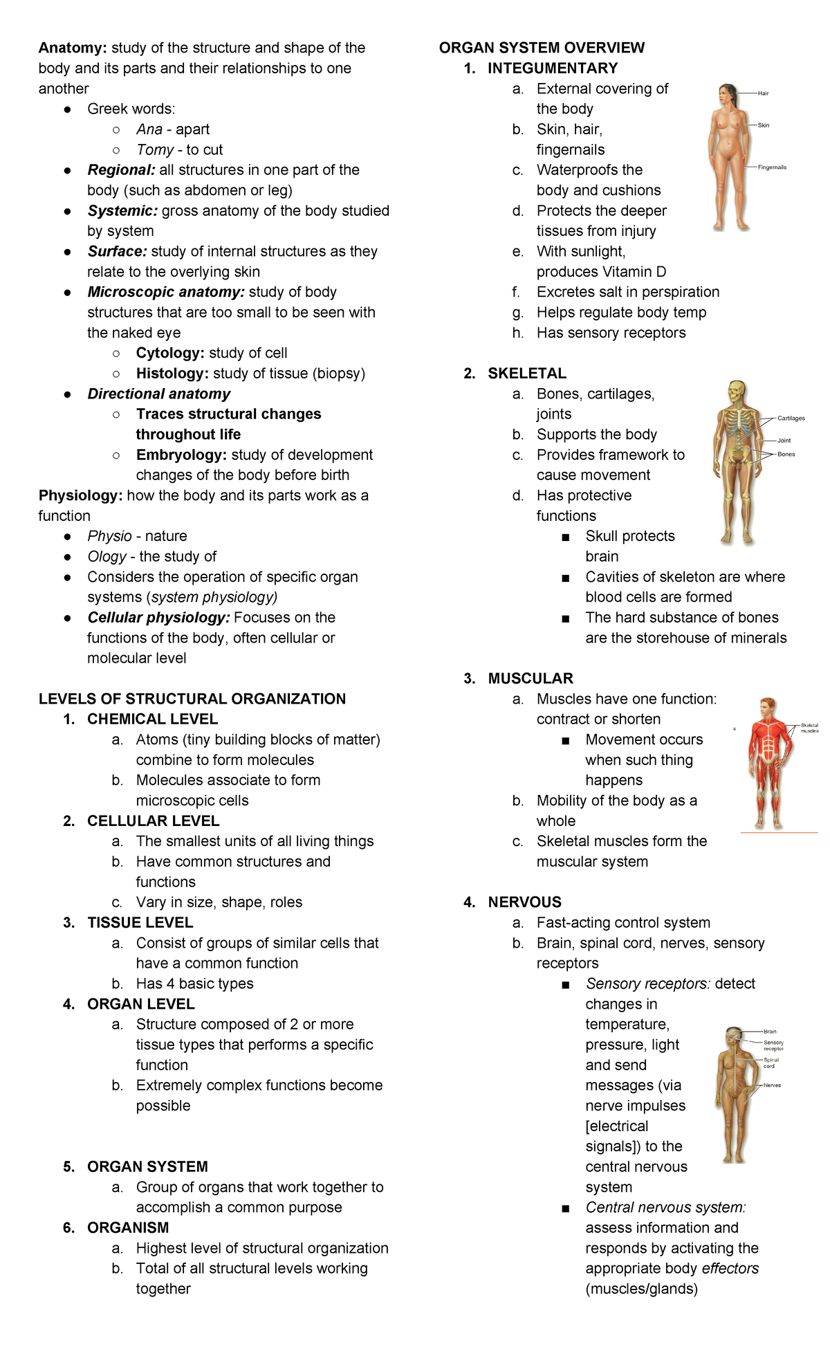 The Human Body, Cells & Tissues, Skin and Body Membrane Summary ...