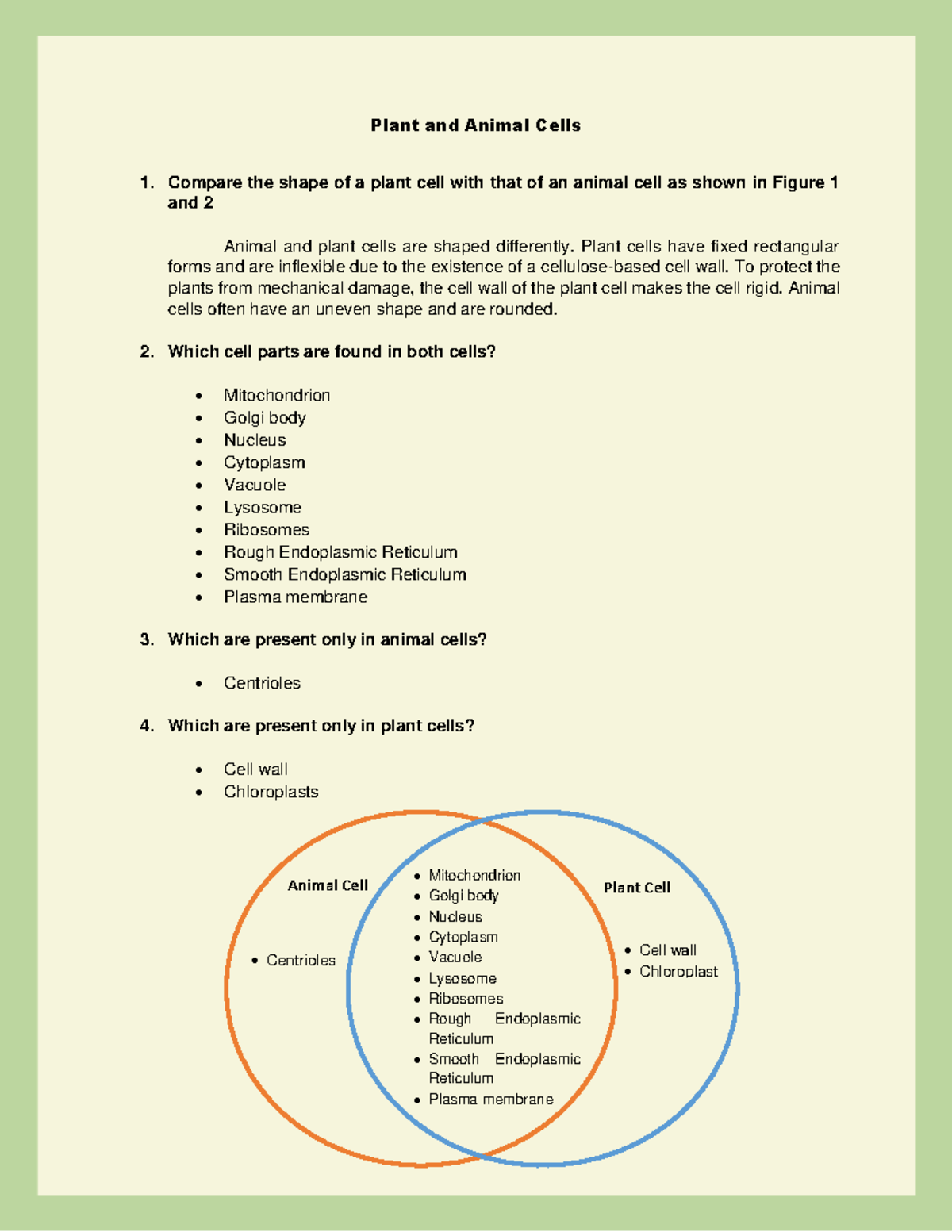 Plant and Animal Cells - Compare the shape of a plant cell with that of ...