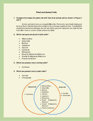Using Dichotomous Keys for Biology - Experimental Skill and ...