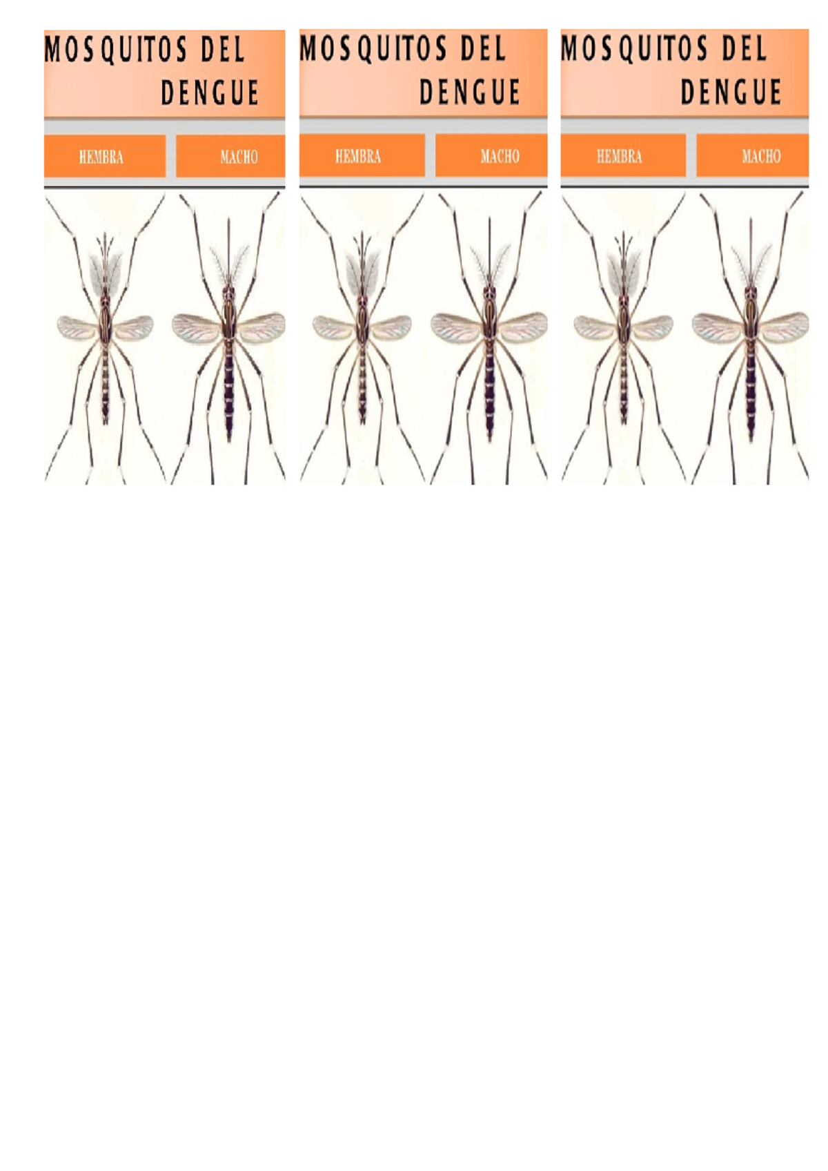 Macho Y Hembra - Material - Historia Contemporánea - MOSQUITOS DEL ...