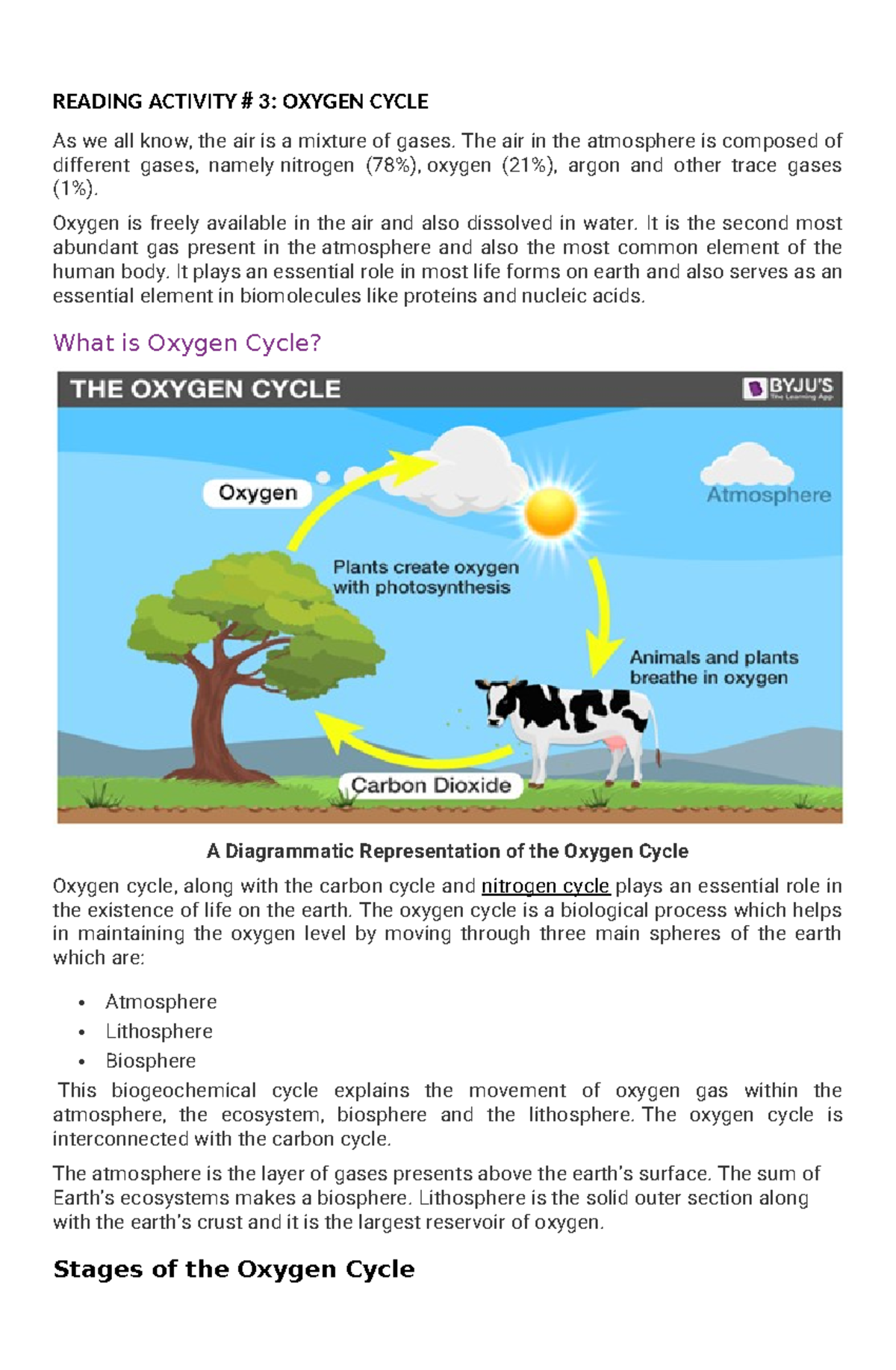 Oxygen Cycle Reading Activity 3 - READING ACTIVITY # 3: OXYGEN CYCLE As ...