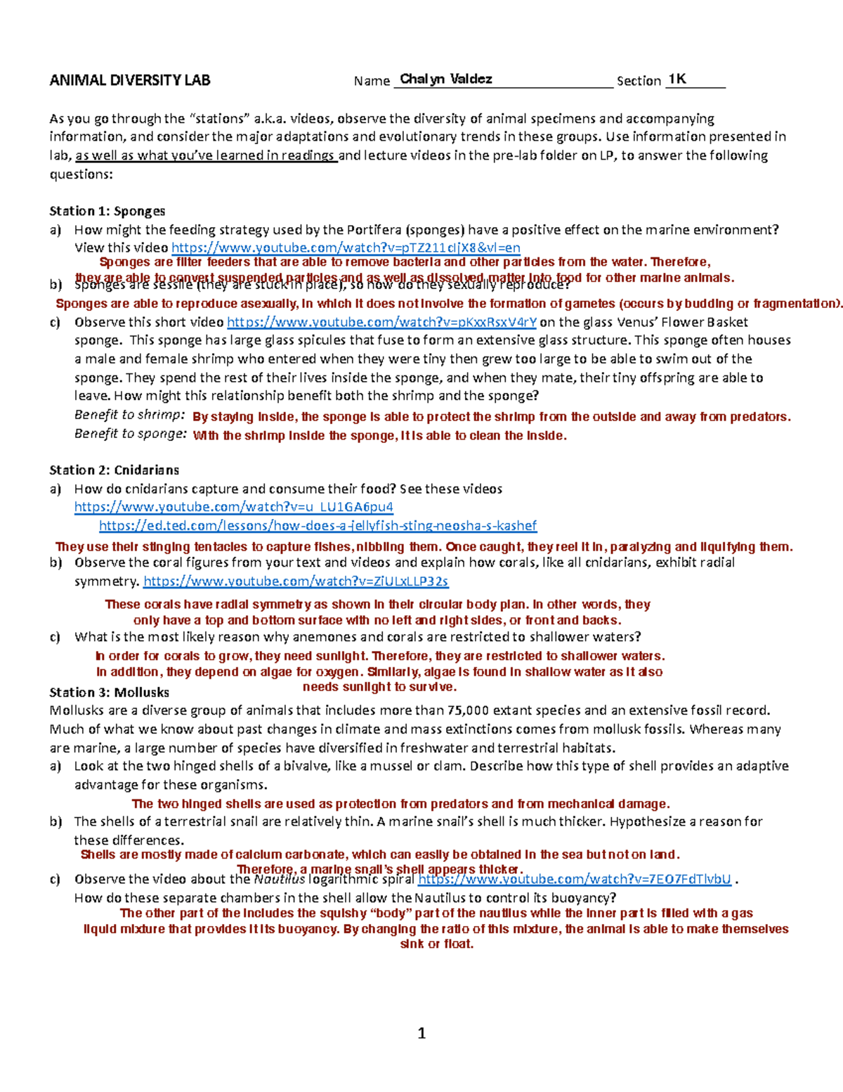 Animal Diversity Lab Worksheet LS7B take home - ANIMAL DIVERSITY LAB ...