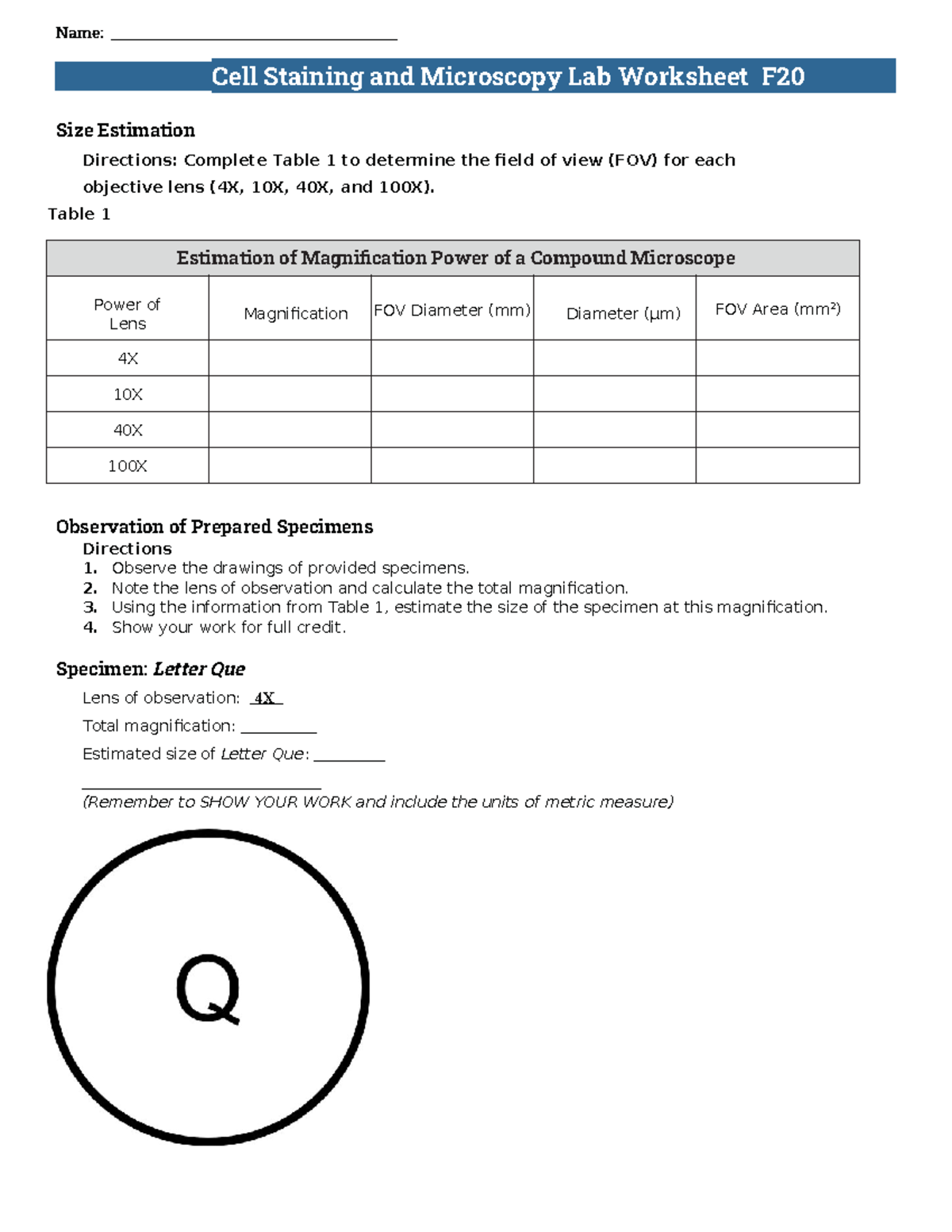 2 F20 Cell Staining and Microscopy worksheet - Cell Staining and ...