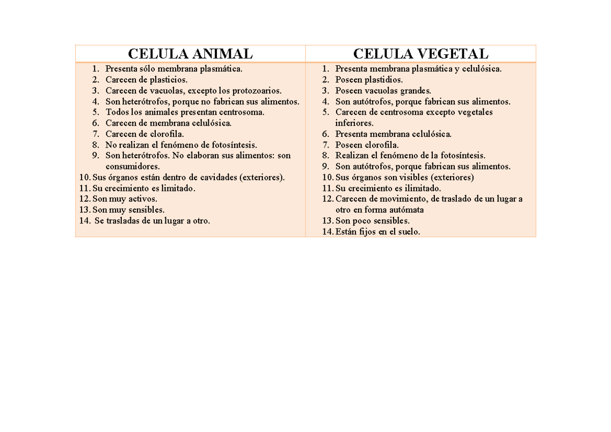 Cuadro Comparativo De La Celula Animal Y Vegetal