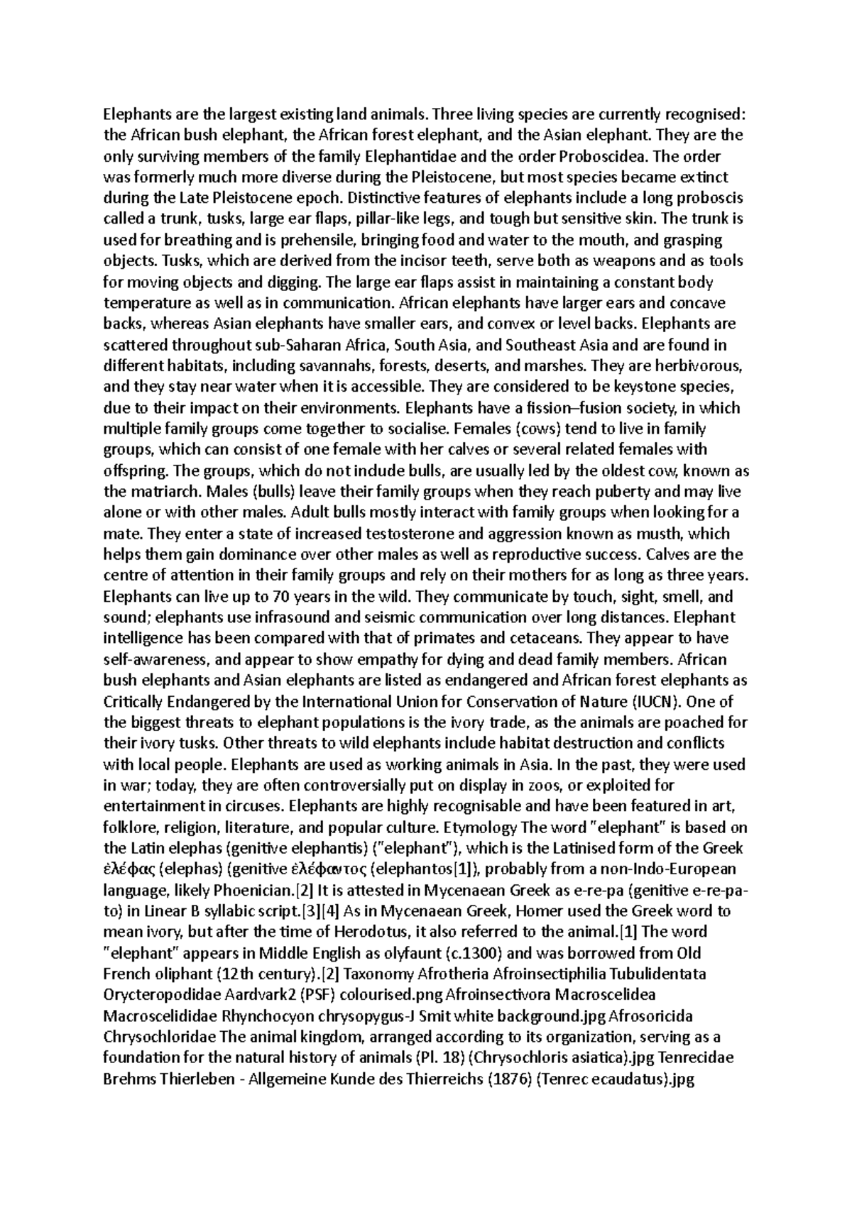 Elephants - Summary - Elephants are the largest existing land animals ...