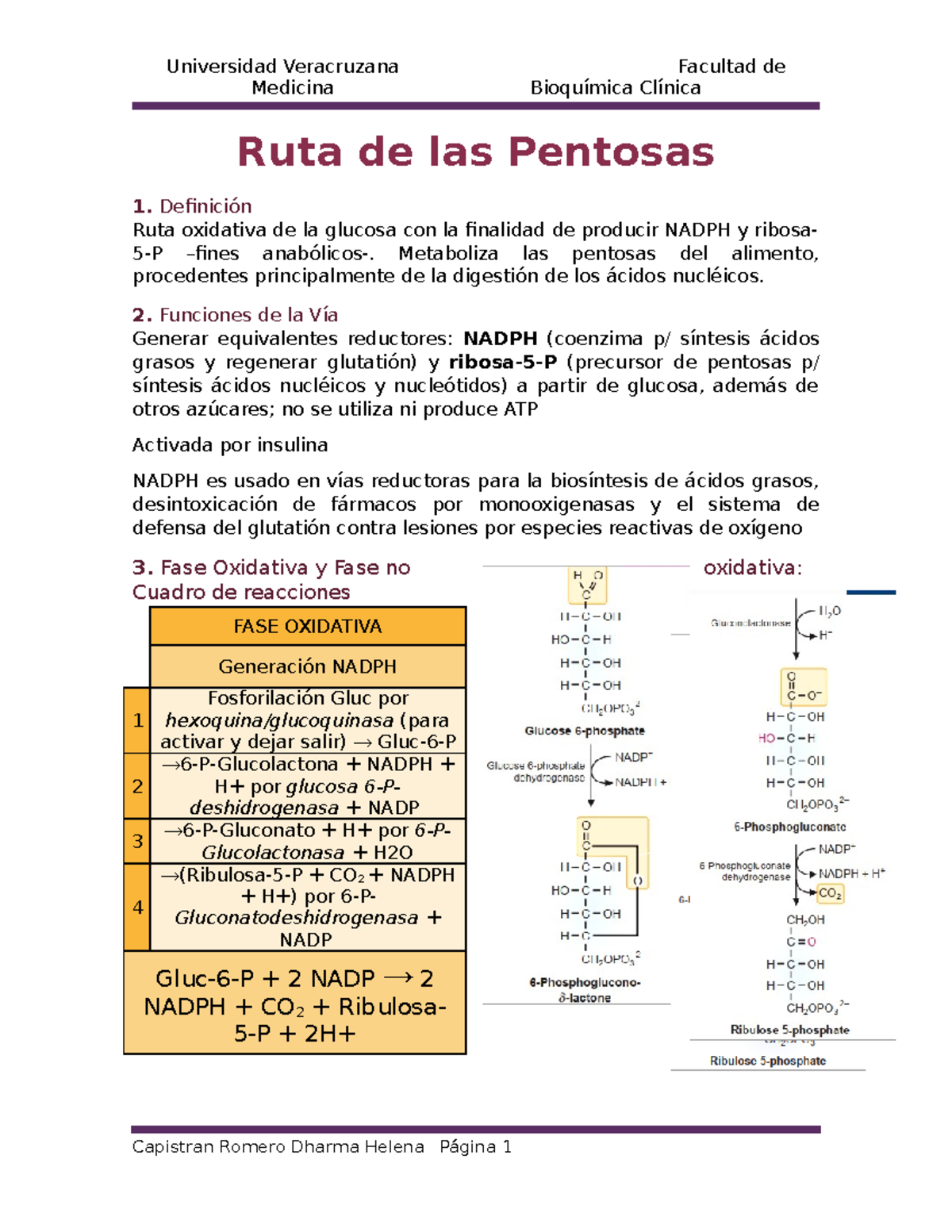 La guía de la Ruta de las Pentosas - Medicina Bioquímica Clínica Ruta de las Pentosas Definición ...